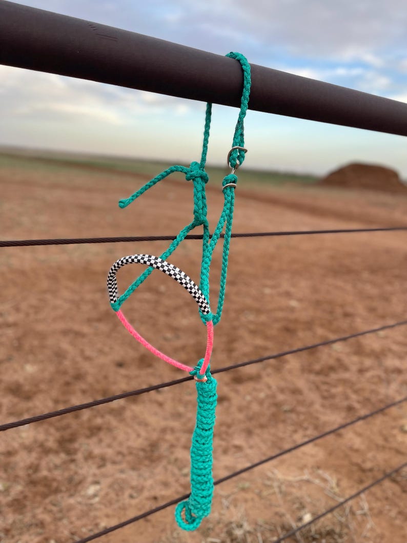 Checkered Mule Tape Halter With Quick Release Hook - Etsy
