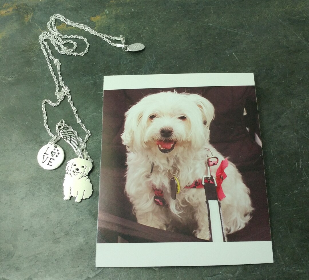 Benutzerdefinierte Hundehalskette, Ihr Haustier TaGette Anhänger ...