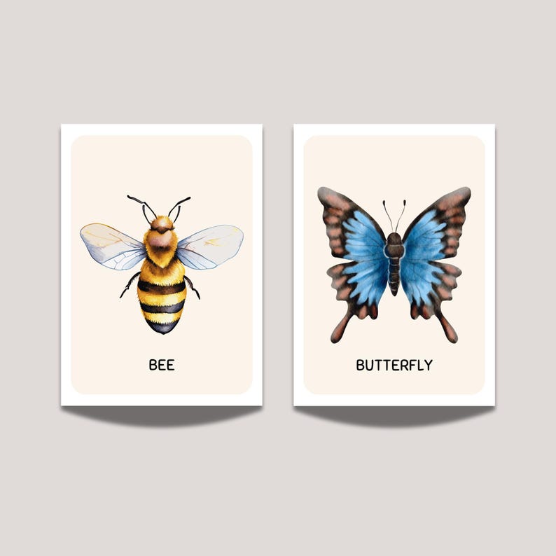 Insects Flashcards | Montessori Learning | Printable Educational Cards ...