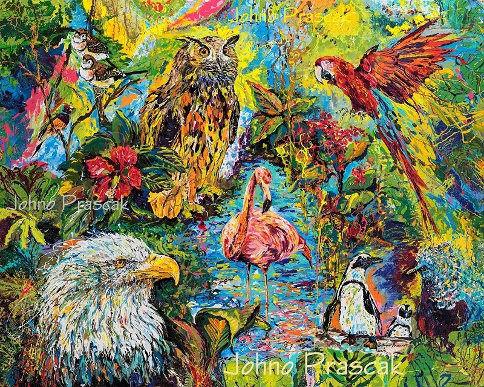 Bird Art, Menagerie, Bird Print, National Aviary, Owl Art, Flamingo Art ...