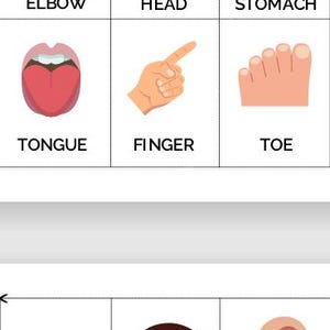 Learning Basic HUMAN BODY and SYSTEM for Kids - Etsy