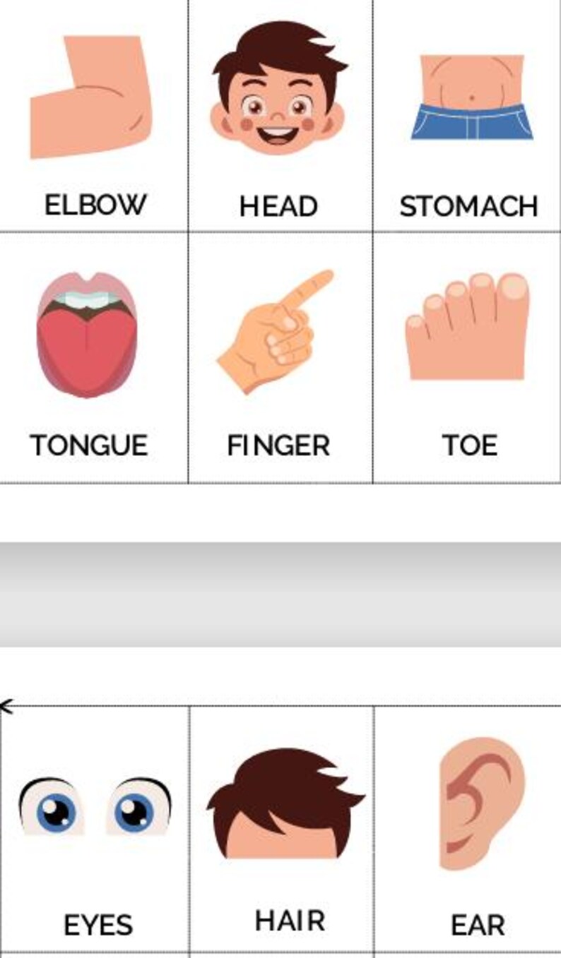 Learning Basic HUMAN BODY and SYSTEM for Kids - Etsy