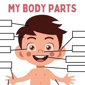Learning Basic HUMAN BODY and SYSTEM for Kids - Etsy