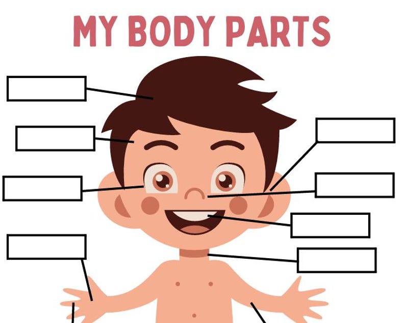 Learning Basic HUMAN BODY and SYSTEM for Kids - Etsy
