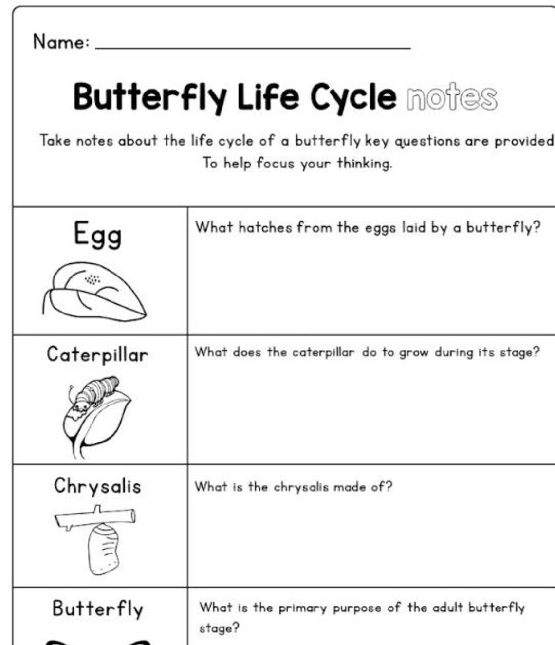 BUTTERFLY Life Circle for Kids Learning - Etsy Canada