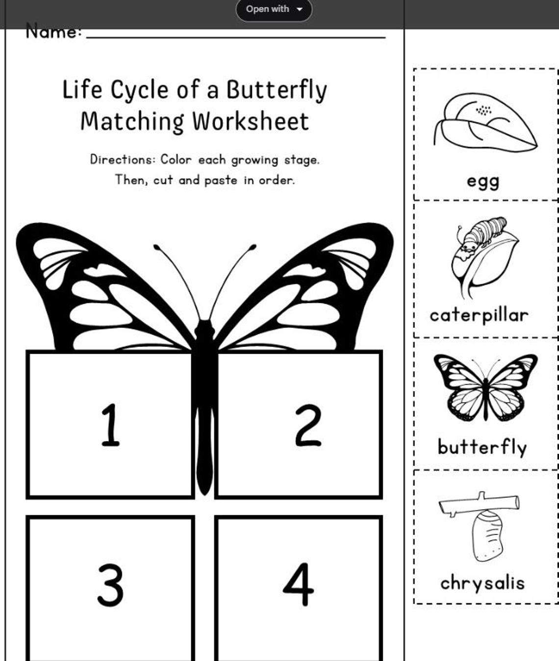BUTTERFLY Life Circle for Kids Learning - Etsy Canada