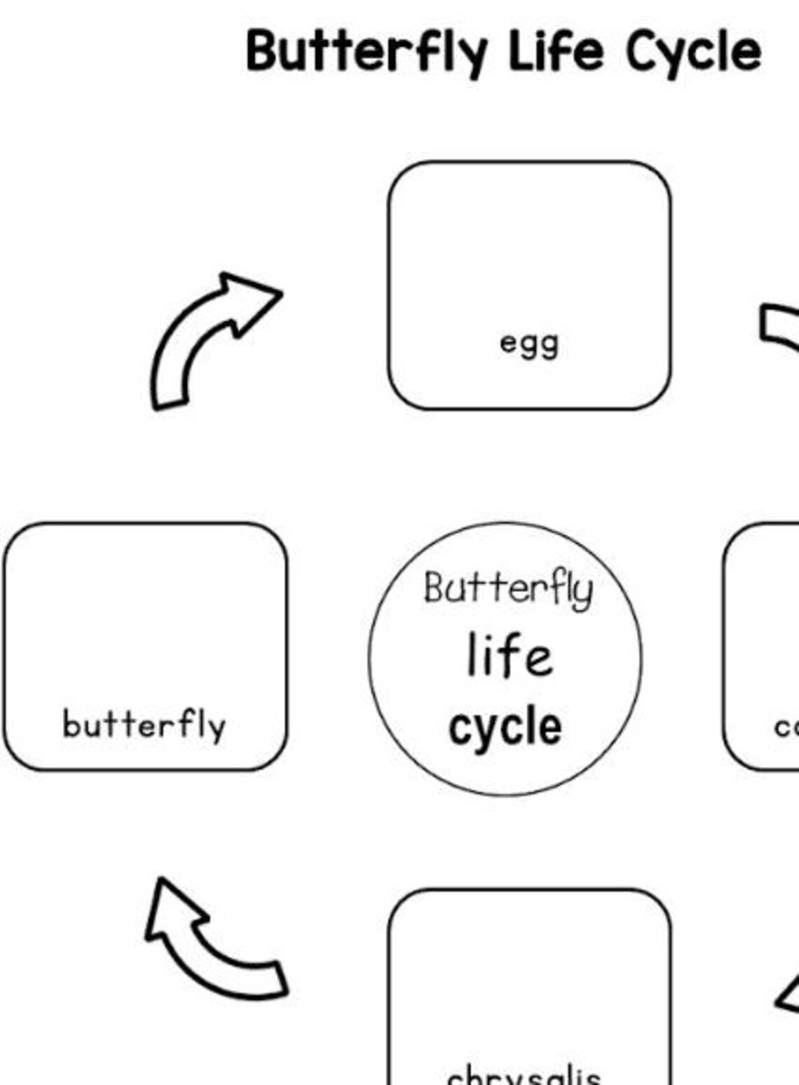 BUTTERFLY Life Circle for Kids Learning - Etsy Canada