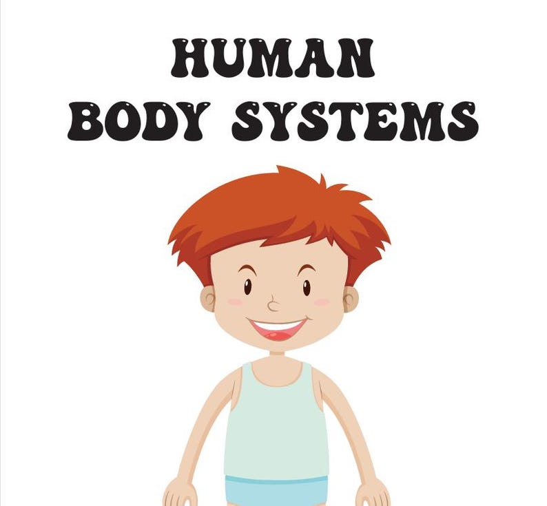 Learning Basic HUMAN BODY and SYSTEM for Kids - Etsy