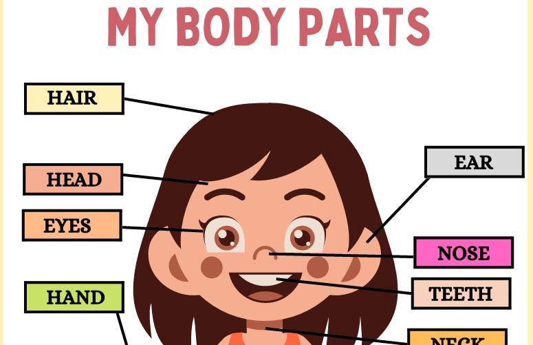 Learning Basic HUMAN BODY and SYSTEM for Kids - Etsy