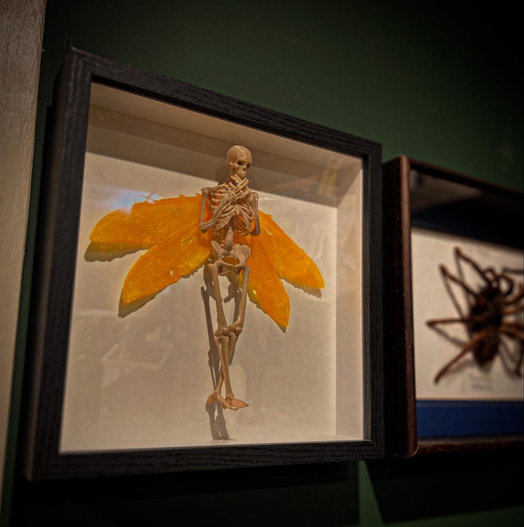 Taxidermy Dead Fairy - Etsy UK