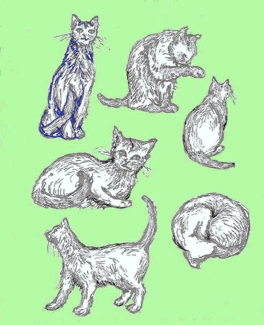 INSTANT PRINTABLE Cat Art Print Cat Lovers GiftDigital | Etsy