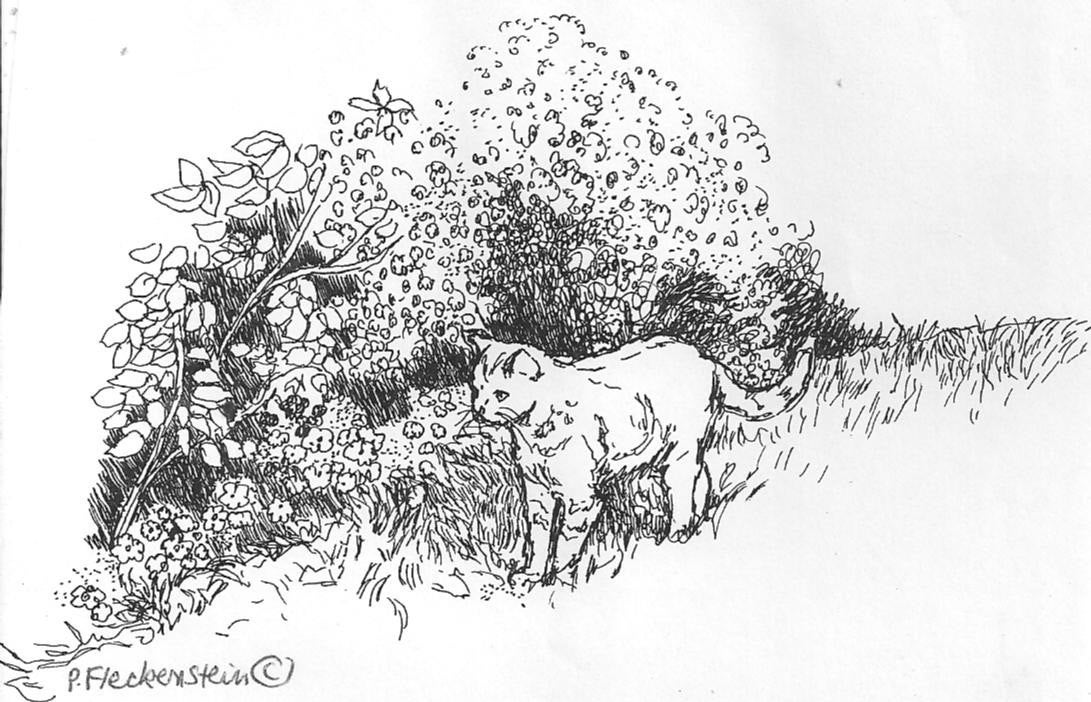 PRINTABLE ART Cat Pen and Ink Drawing instant Downloadable - Etsy