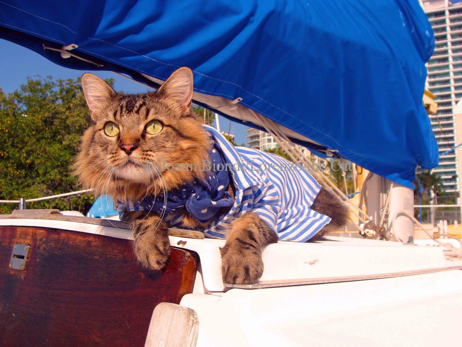 First Mate 5 X 7 Print - Etsy