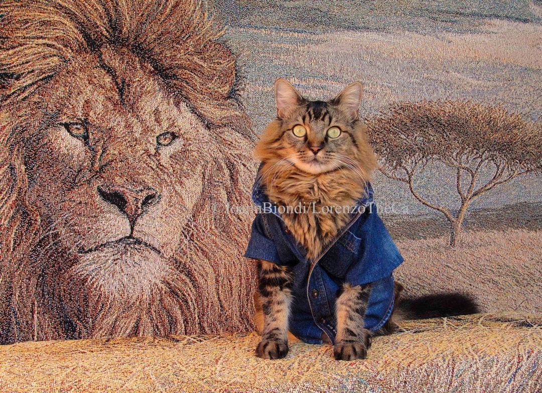 Born Free 5 X 7 Print - Etsy