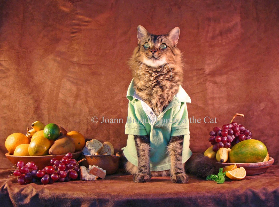 Still Life With Cat 5 X 7 Print - Etsy