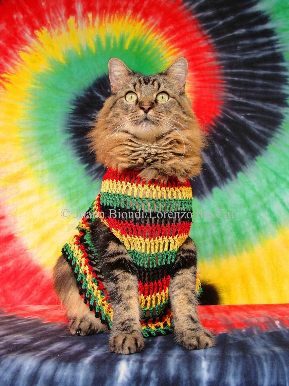 Rasta Cat 5 X 7 Print - Etsy