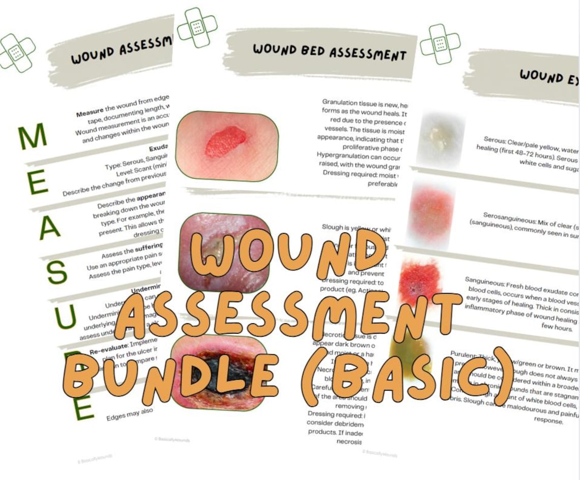 Wound Care Nursing Assessment Education Guides - Etsy