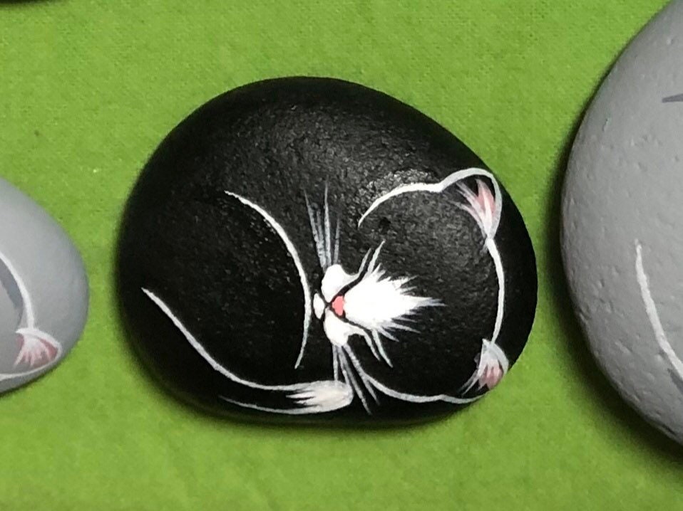 Hand Painted Sleepy Kitty Rock, Black or Gray Sleeping Cat - Etsy