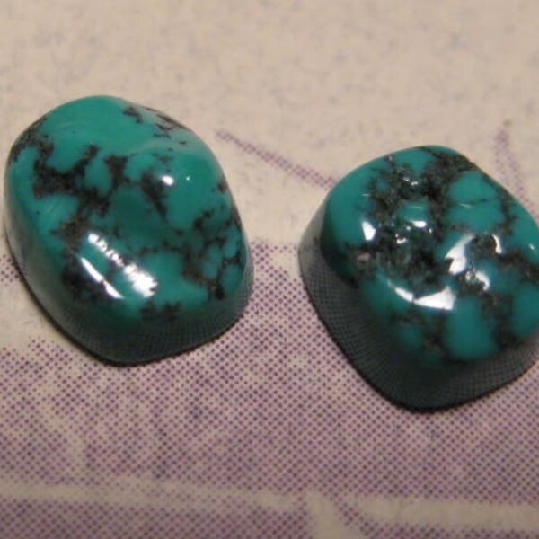 Spider Web Turquoise - Etsy