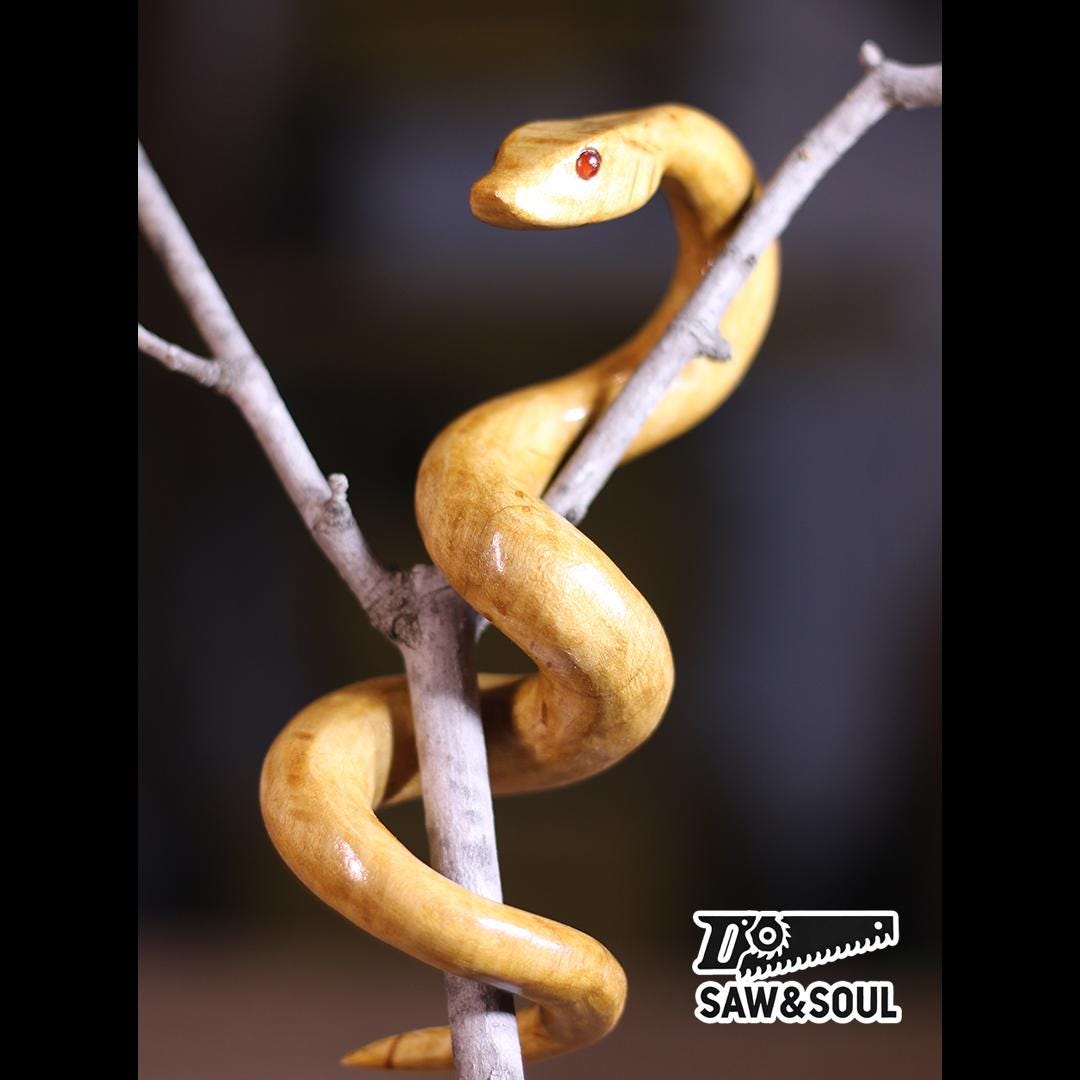 SL2153 Bandsaw Snake Plan - PDF File - Etsy