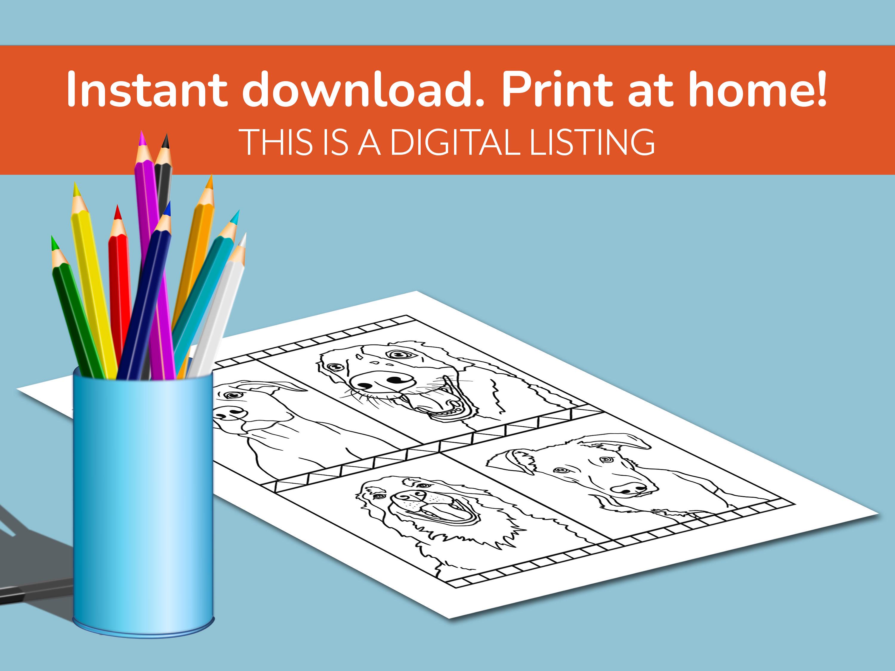 10 Rad Dog Coloring Pages – Instant Download – All Ages – Printable PDF ...