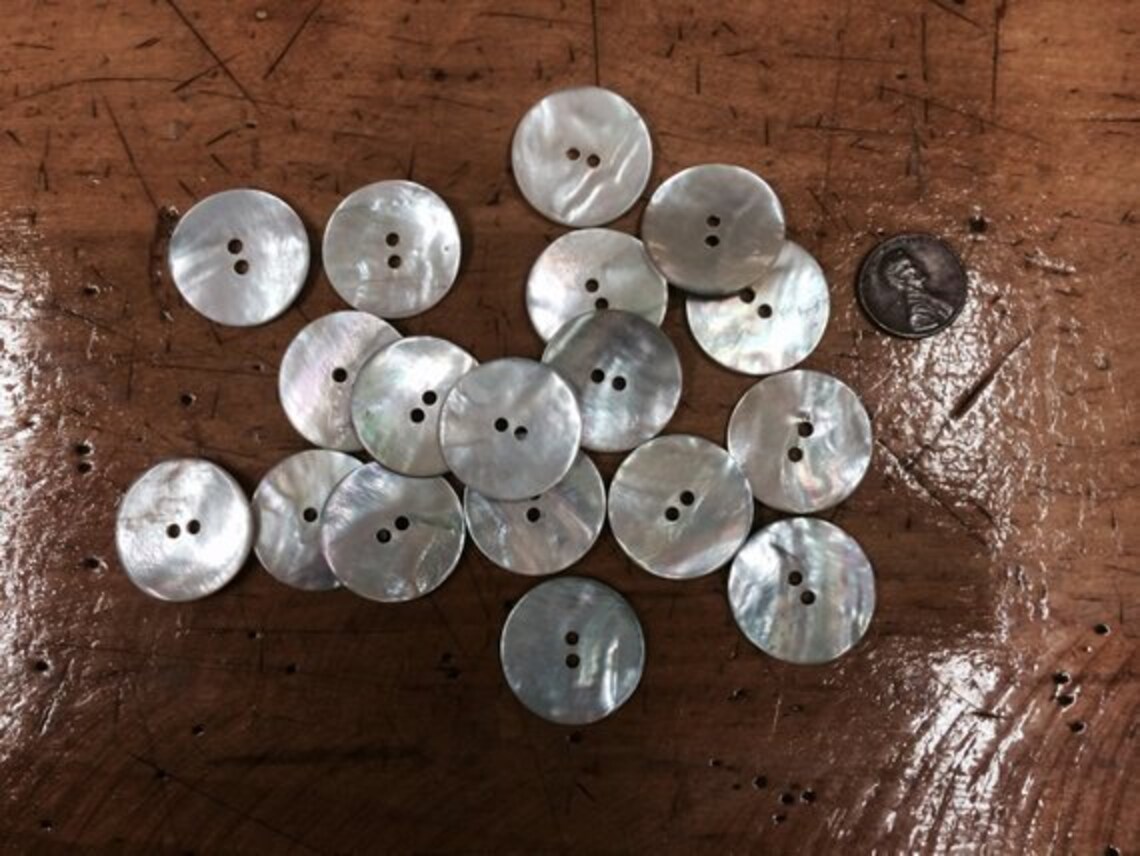 Real Seashell Mother of Pearl Button Medium Shell Button | Etsy