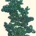 Hunter Green Beaded Applique, Beaded Aplique Lace Pair for Lyrical ...