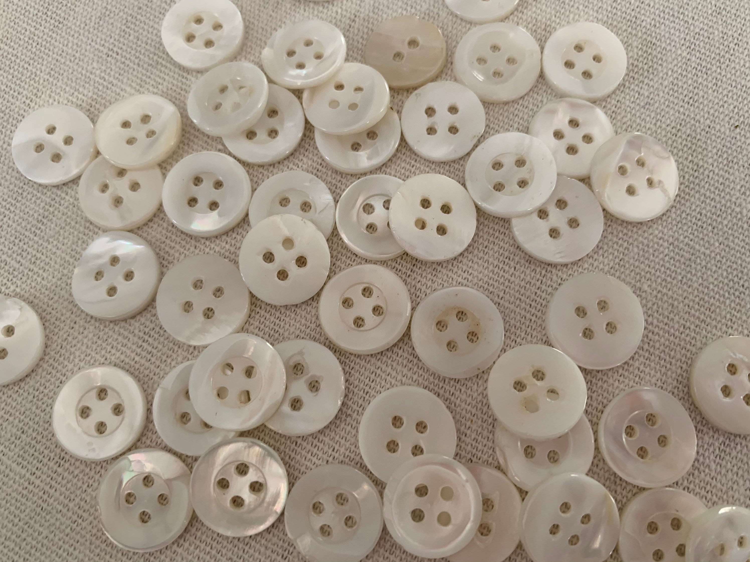 Small Real Seashell Mother of Pearl Button Shell Button Sewing | Etsy