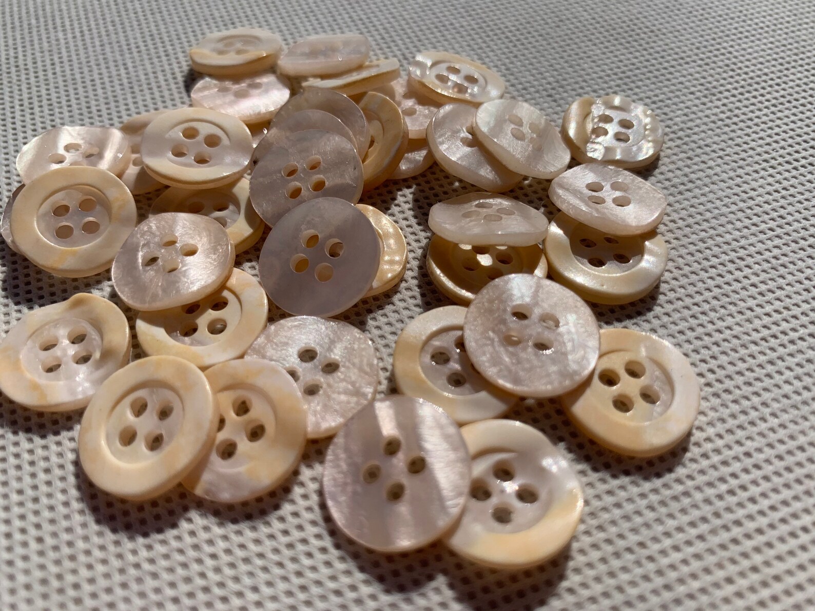 Small Real Seashell Mother of Pearl Button Shell Button Sewing Buttons ...