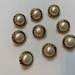 Small Pearl Buttons With Gold Trim Accent Plastic Sewing Buttons 5/8 ...