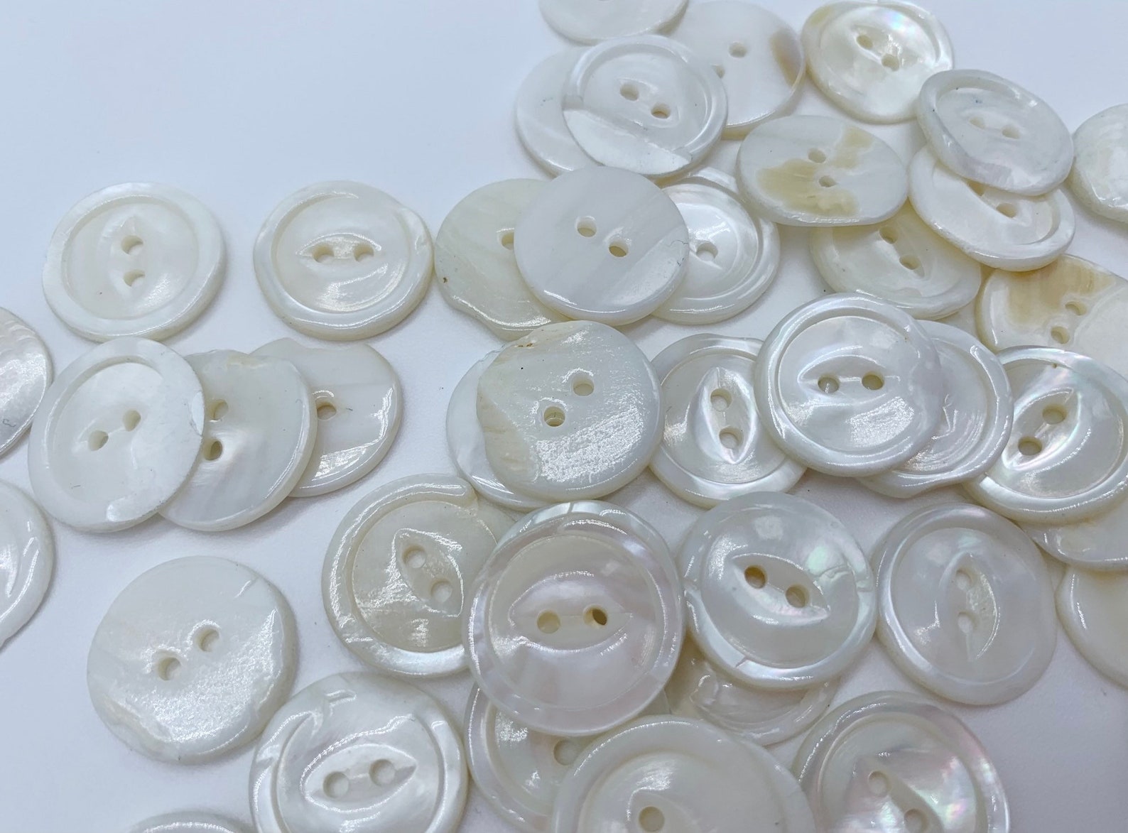 Medium Real Seashell Mother of Pearl Button Shell Button Sewing Buttons ...
