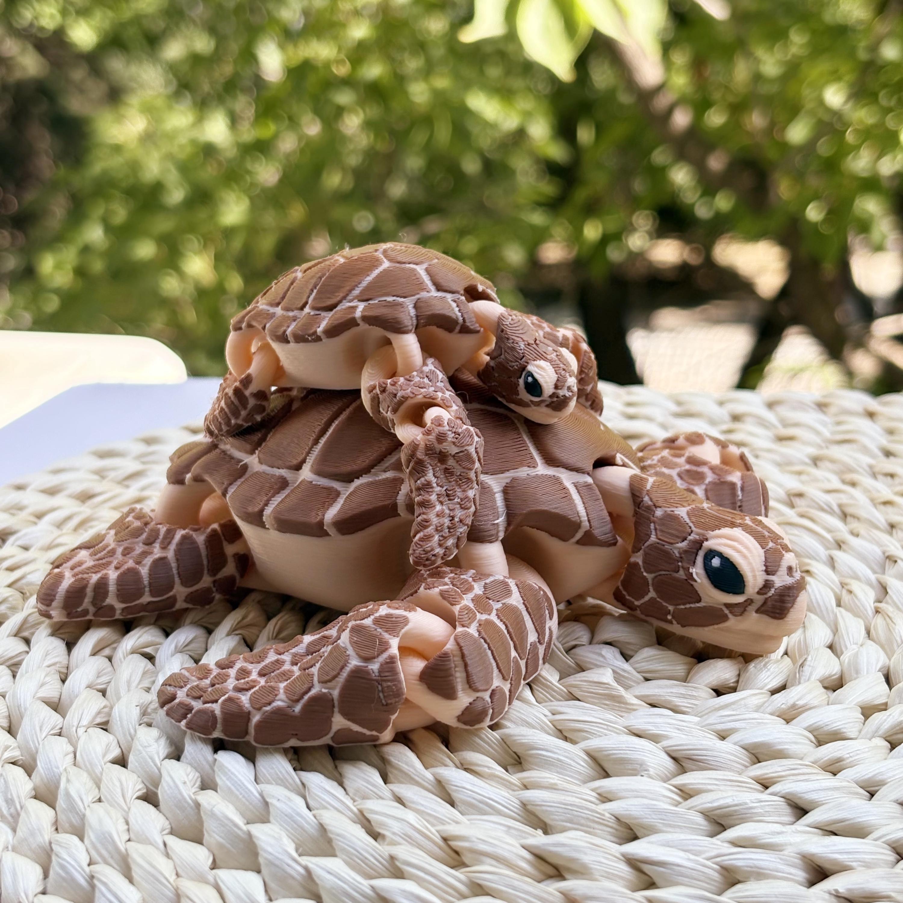 3D Printed Articulated Turtle: Posable Ocean Animal Toy - Etsy