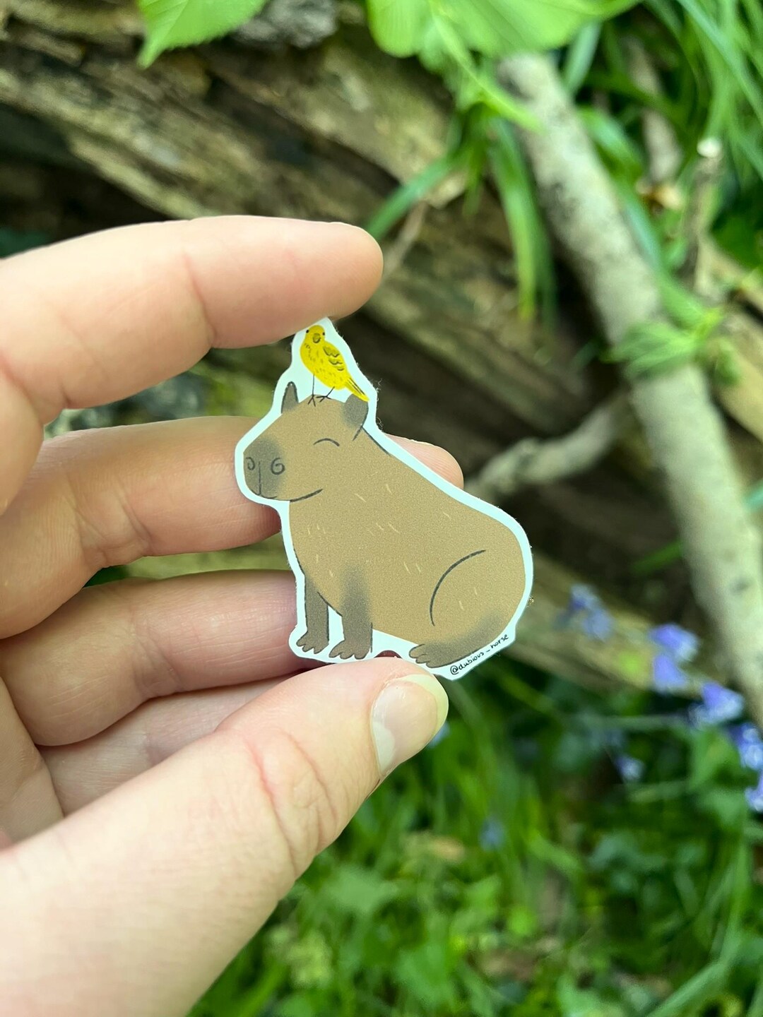 Capybara and Bird Sticker // Cute Sticker Capybara Stationery for ...