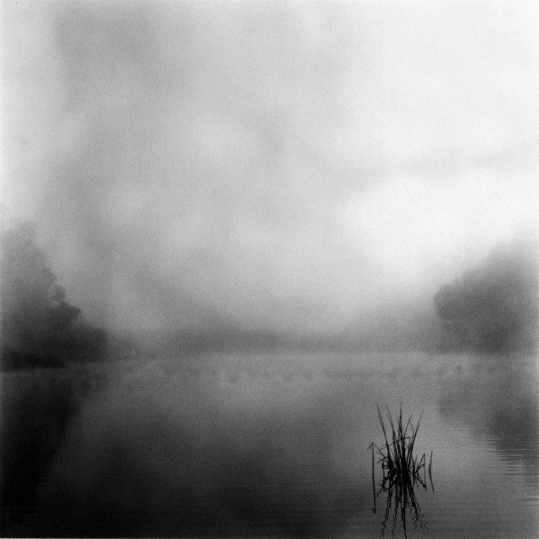 Morning Fog-fine Art Photography-siobhan Photography - Etsy