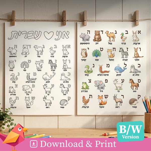 Hebrew Alphabet Activity - Etsy