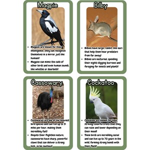 Australian Animal Flashcards – Fun Facts, Preschool Learning (digital ...