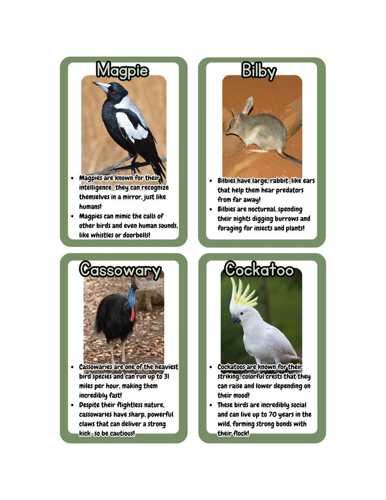 Australian Animal Flashcards – Fun Facts, Preschool Learning (digital ...