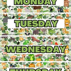 Printable Safari Calendar Set – Classroom, Homeschool (digital Download ...