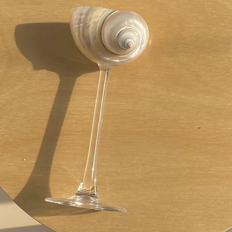 Stunning Shell Wine Glass - Etsy