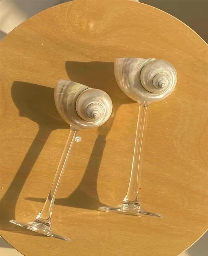 Stunning Shell Wine Glass - Etsy