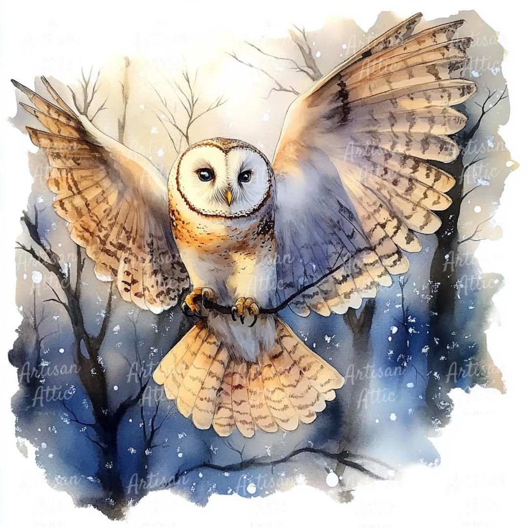 11 Watercolor Snowy Owl Clip Art Digital Download | Wildlife Bird ...