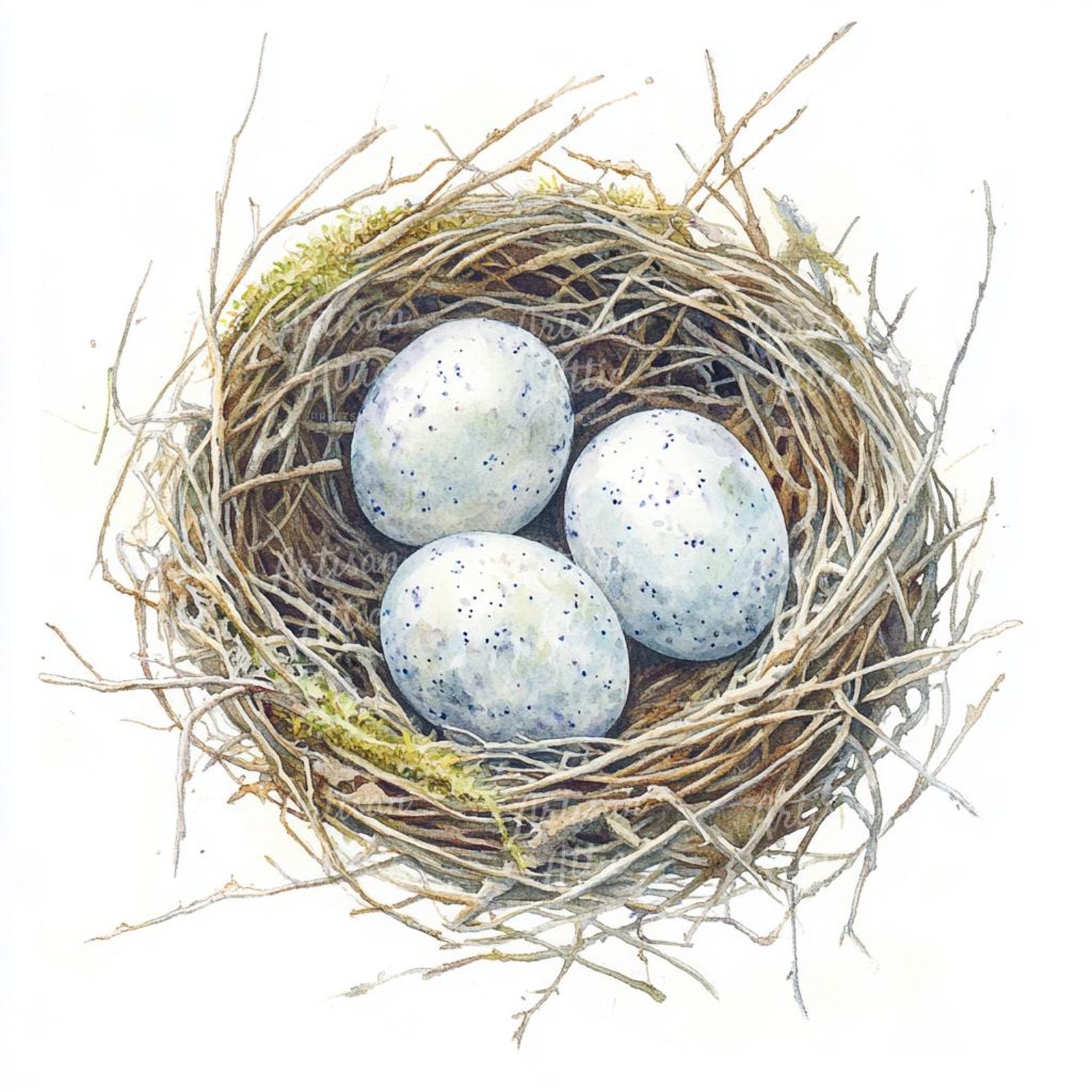 11 Watercolor Nest With Eggs Clipart, Bird's Nest With Three Eggs ...