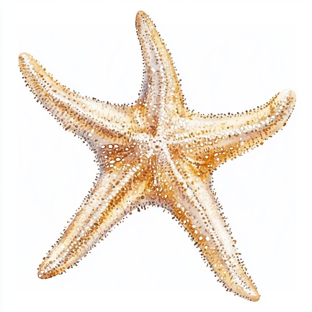 12 Watercolor Starfish Clipart, Hand-painted Sea Star, Ocean Clipart ...