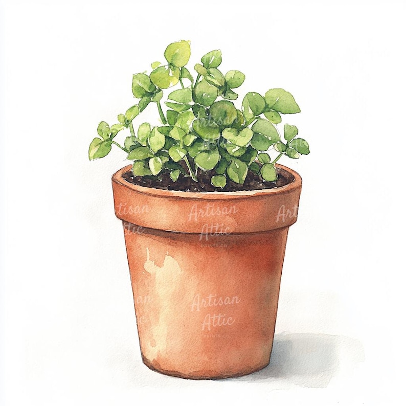 12 Watercolor Terracotta Pot With Plant, Potted Herb Illustration ...