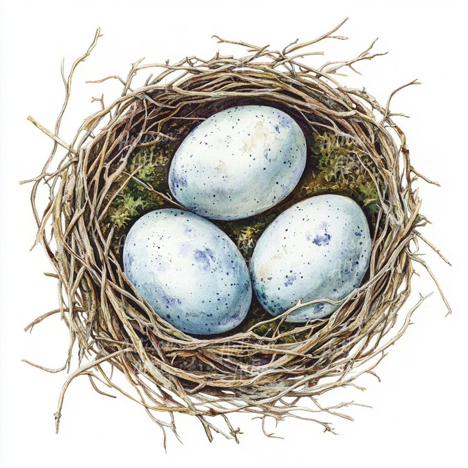 11 Watercolor Nest With Eggs Clipart, Bird's Nest With Three Eggs ...