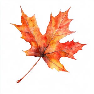 12 Watercolor Maple Leaf Clipart | Fall Leaf Digital Download | Autumn ...