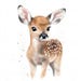 12 Watercolor Baby Deer Clip Art, Cute Woodland Fawn Digital Clipart ...