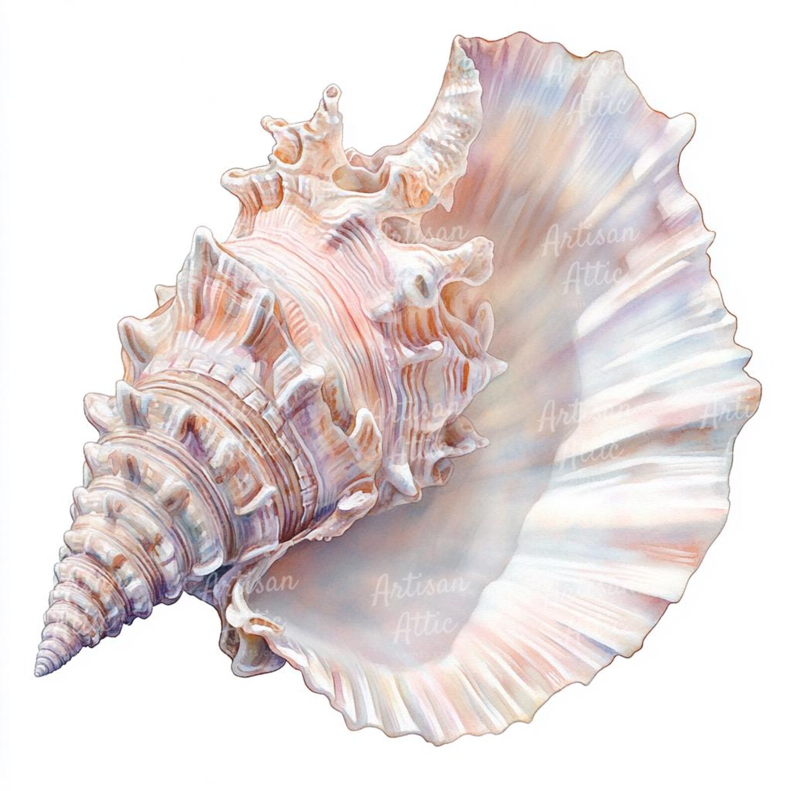 12 Watercolor Seashell Clipart, Hand-painted Ocean Shell Art, Coastal ...