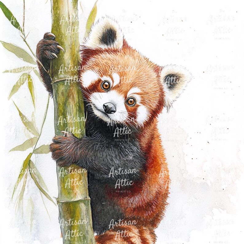 12 Adorable Red Panda Hugging Bamboo Printable Art PNG Digital Download ...