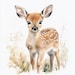 12 Watercolor Baby Deer Clip Art, Cute Woodland Fawn Digital Clipart ...
